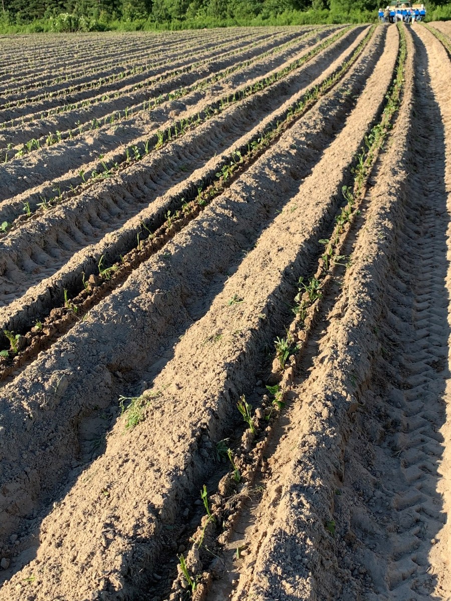 Watkins Farm, LLC – Family tradition, perseverance, dedication and hard ...